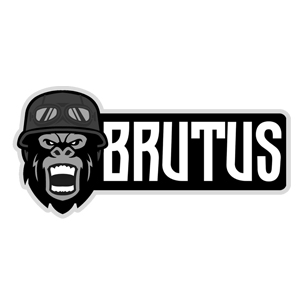 BRUTUS BRASIL | Sinpol/RN
